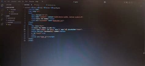 Webdevelopment Javascript Coding Frontend Randomnumbergame