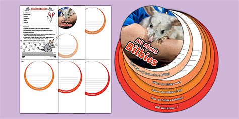 All About Bilbies Circles Booklet