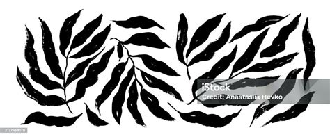 긴 잎을 가진 추상적인 붓으로 그린 나뭇가지의 모음입니다 식물 실루엣 낙서 식물 모양 스케치 그런지 스타일의 이국적인 식물 배경