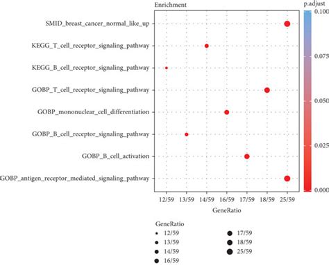 Functional Analysis And Identification Of Mutation Landscape Go