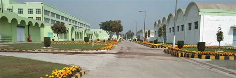 Cphl Forms Jv With Hangzhou Newsea Technology Co To Prodcue Apis