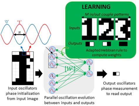 An Oscillatory Neural Network Representation With Ham Type Of Computation Download Scientific