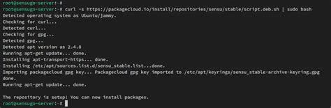 How To Install Sensu Monitoring Solution On Ubuntu