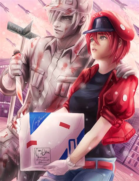 Cells At Work By Stanglass On Deviantart