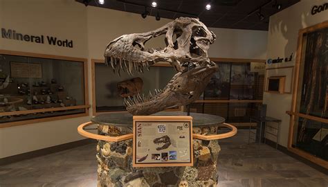 Earth Science Centre