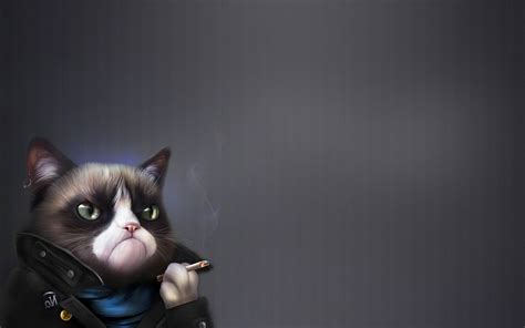 Смешные картинки Крутые на рабочий стол 30 фото