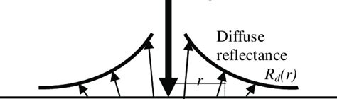 Schematic Diagram Of The Steady State Spatially Resolved Diffuse