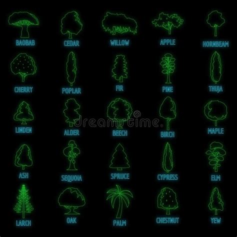 Tree Types Icons Set Vector Neon Stock Vector Illustration Of Pine