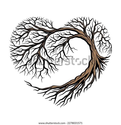 Heart Shaped Tree Roots Photos And Images Shutterstock