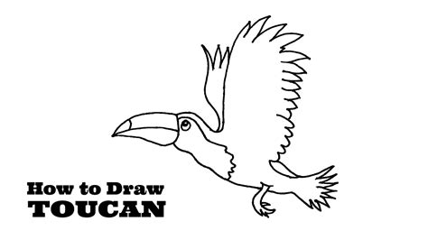 How To Draw A Toucan Flying
