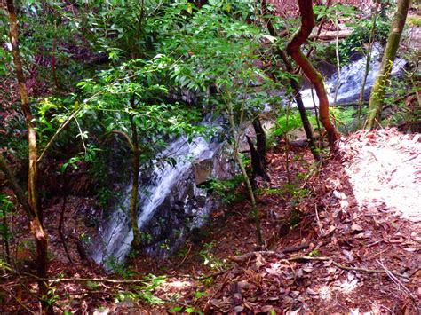 高塚山 2024 09 25 たこやきマンさんの高塚山の活動データ Yamap ヤマップ