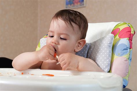 음식을 먹는 어린 소년의 초상화 수유 의자에 숟가락을 가진 아기 첫 식사를 먹는 귀여운 아기 1위에 대한 스톡 사진 및 기타 이미지 Istock