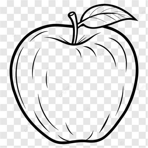 Black And White Apple Outline Printable Coloring Sheet Vector Apple