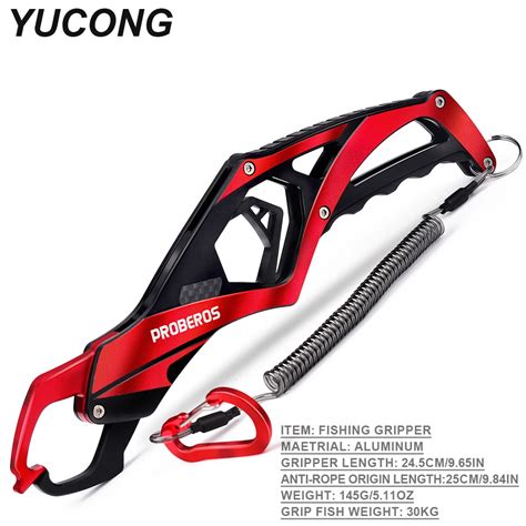 Sc12dcb81a2434f5f83f8912e35cafa20q