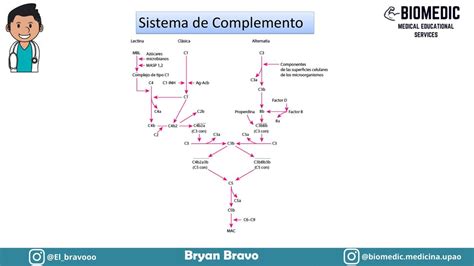 Sistema De Complemento Julia Lizeth Vargas Ventura Udocz