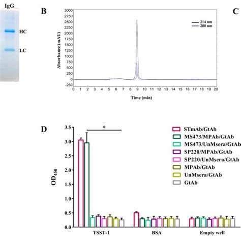 Screening Of The Scfv Phage Library On Tsst 1 The Tsst 1 Binding Of