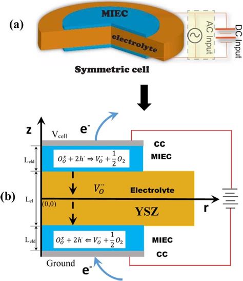 A The Cell Setup For DC Or AC Simulation B Schematic Illustration Download Scientific