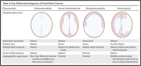 Systematic Approach To Pediatric Macrocephaly Radiographics