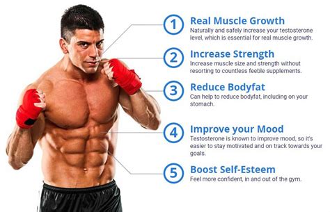 Testofuel Review 2023 Ingredients Benefits Side Effects