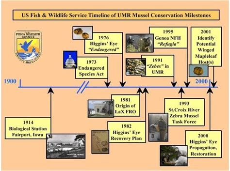 Simple Make A Timeline Chart Maker Excel