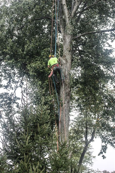 Events Organizations Carroll Tree Service Inc