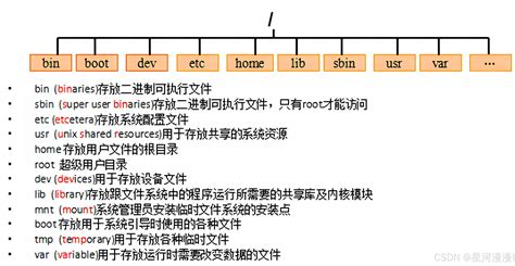 linux文件目录管理（详解和命令演示） linux系统文件目录结构 csdn博客