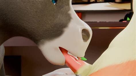 Macro Fun Toys ThisVid Com