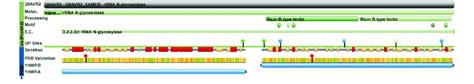 Structure Of Ebulin S Ebulus Rip Ii Protein Chains Uniprotkb