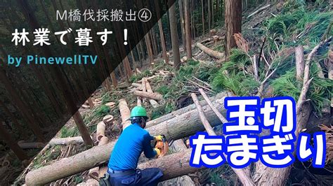 林業で暮すM橋伐採搬出④玉切 YouTube