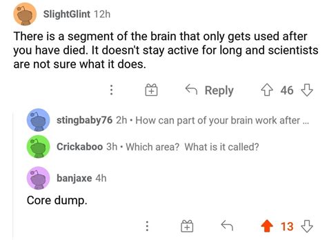 Found In The Wild Programmerhumor