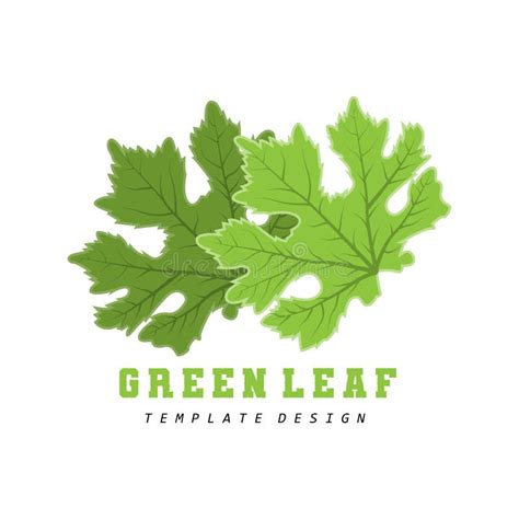 Leaf Logo Green Plant Design Leaves Of Trees Product Brand Template