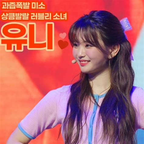 캐리tv 크리에이터 및 꼬마 친구들 핵심정리캐리 엘리 캐빈 줄리 유니 토미샘 루시 모모 스텔라 등