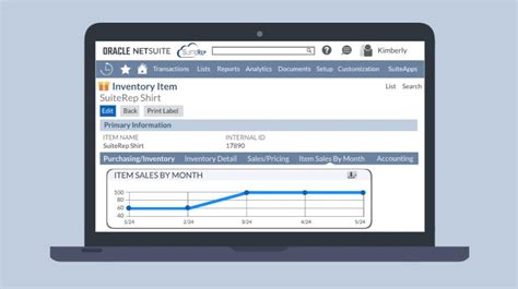 NetSuite On Record Reporting SuiteRep
