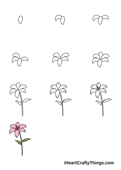 How To Draw Lily Flowers