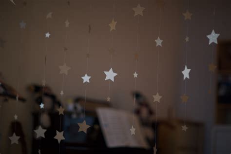 Star Classification Criteria Committees And Composition There Of State And Centre Ihm Notes By