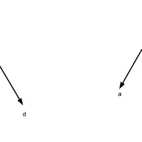 A A Rooted Tree In Which The Out Degree Of The Root Is 3 B A
