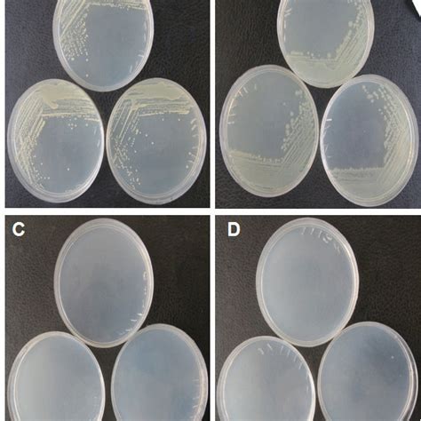 Bacteria Quantification Methods Download Table