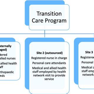 Transition Care Program Structure Download Scientific Diagram