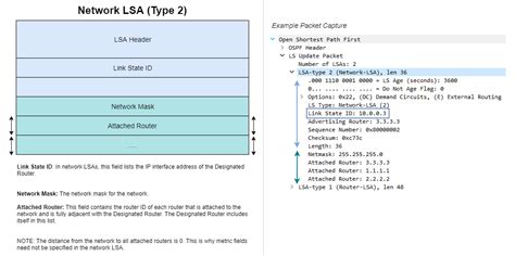 Christmas Calendar Ospf Lsas