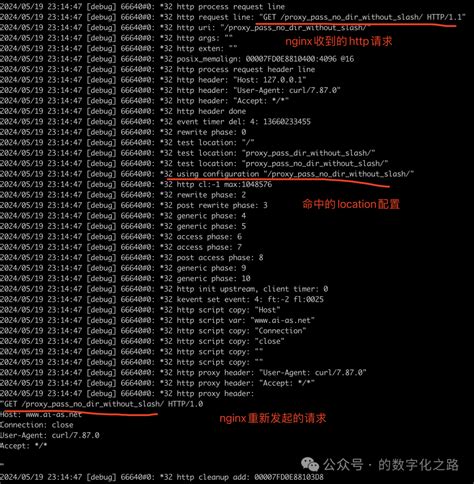 Nginx代理：掌握proxypass的正确姿势 腾讯云开发者社区 腾讯云