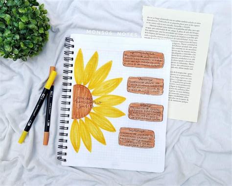 Diagramas Creativos Bonitos