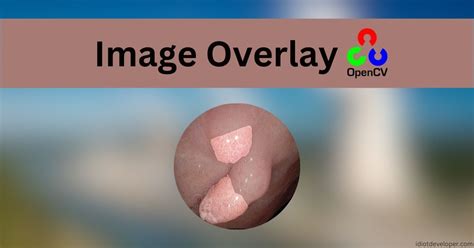 Read Video Files Using Opencv Python Idiot Developer