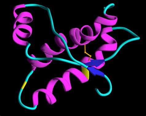 Introduction To Prions Prion Diseases