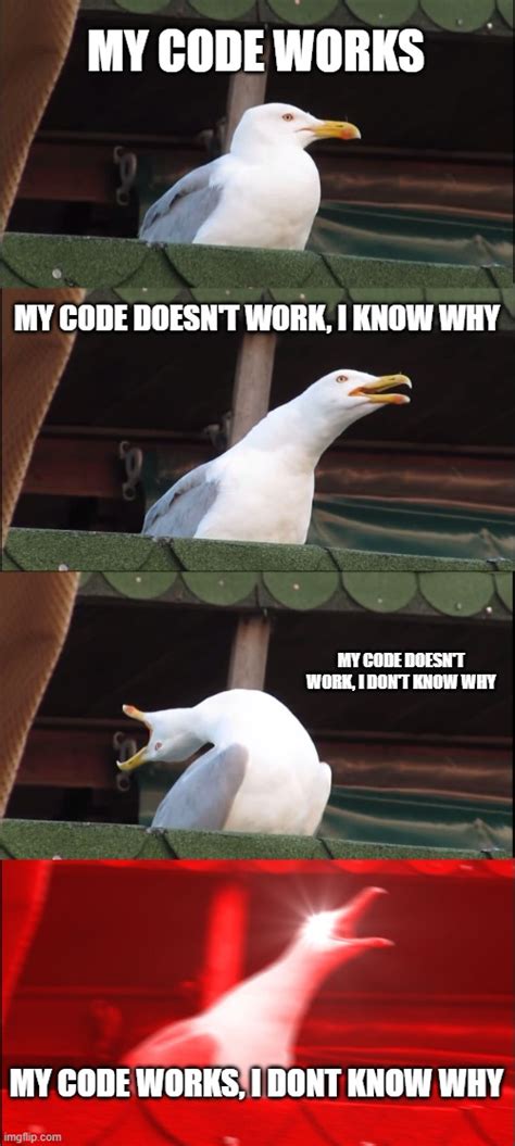 My Code Works Imgflip