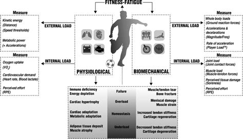 A New Player Load Monitoring Framework Outlining The Cyclical Nature In Download Scientific