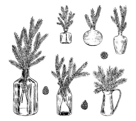 Premium Vector Sketch Set Of Jars With Fir Tree Branches And Cones Botanical Collection Of