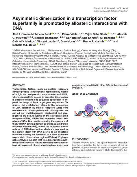 PDF Asymmetric Dimerization In A Transcription Factor Superfamily Is Promoted By Allosteric
