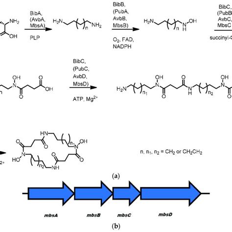 Natural Products Produced By Marine Deltaproteobacteria With Known Gene