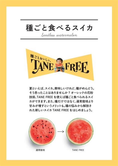 販促POPダウンロード 種ごとおいしいスイカ花粉 TANE FREE