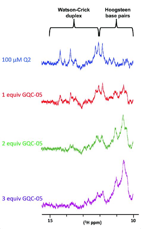 Nmr Titrations Of Q2 163 192 Rna With Increasing Concentrations Of